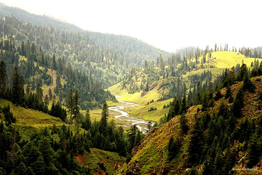 Guria Travel Guide - Visit the Most Beautiful Spring in Georgia and ...