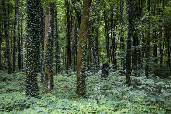 Tskhvandiri Lakes Trek, Okrosktskali lakes trek & other hikes of ...