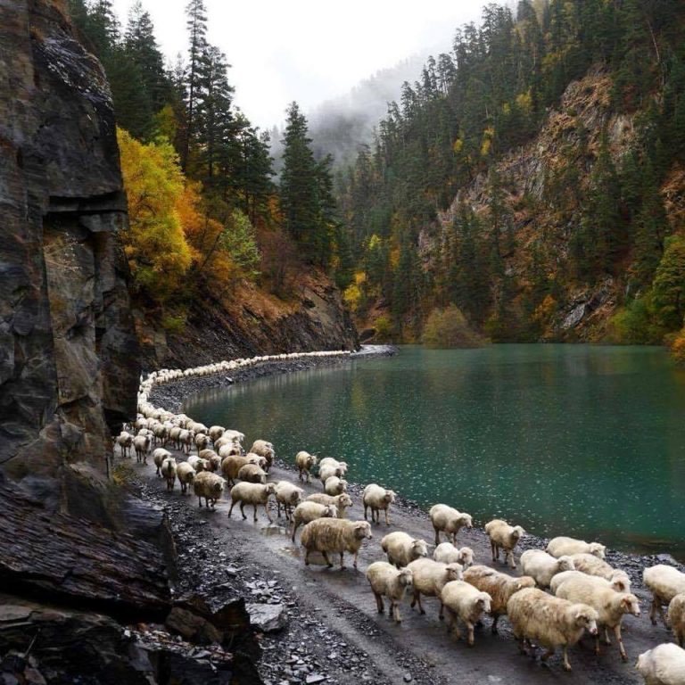 Jeep Tour in Tusheti National Park - Trip to Alternative World ...
