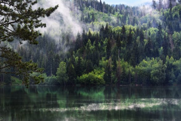 Sabaduri forests and Sioni Lake - Trip to Tbilisi National Park ...